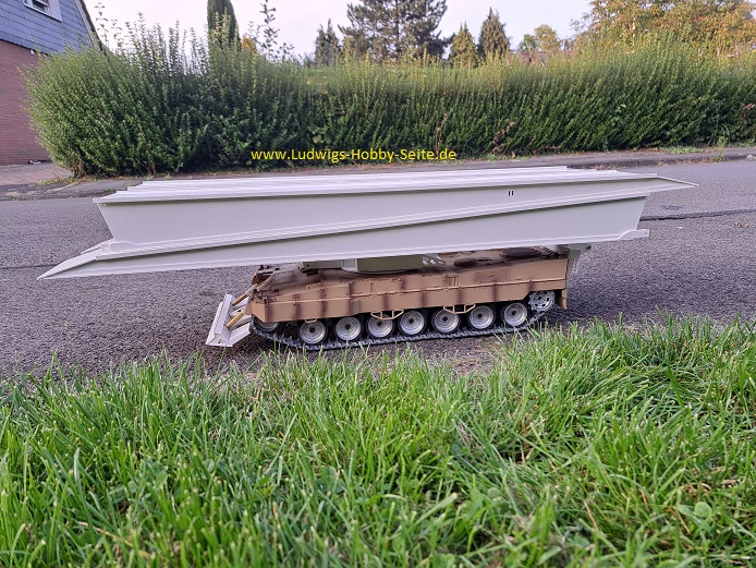 Leguan Brückenleger